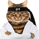 Very Fast Meme Generator