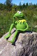 Spongebob internal screaming Meme Generator