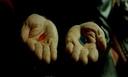 Matrix Pills Meme Generator