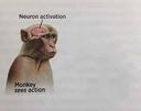 Neuron activation Meme Generator