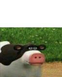 Perhaps cow Meme Generator