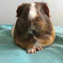 Stick figure Meme Generator