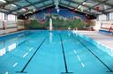 Swimming Pool Meme Generator