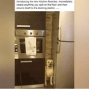 Useless shit Meme Generator