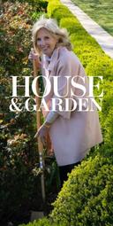 Dog begging Meme Generator