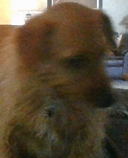 scared kid holding a cross Meme Generator