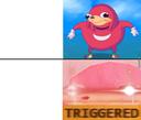 The what? Meme Generator