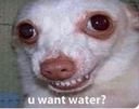 finally Meme Generator