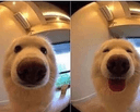 old man yells at cloud Meme Generator